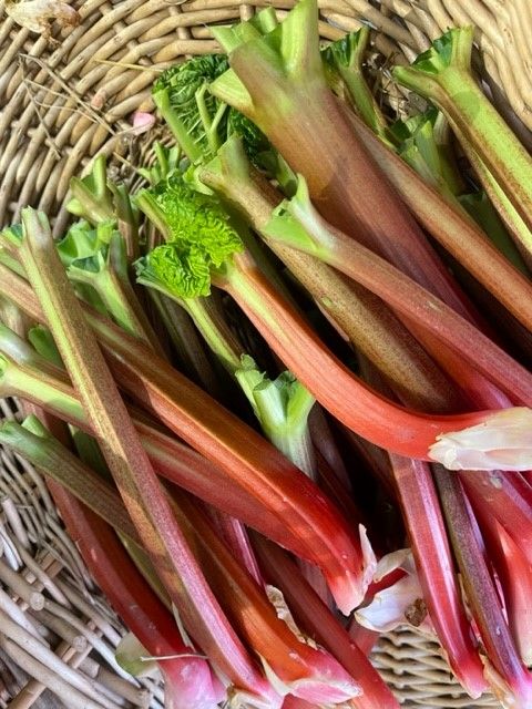 Wykham Park Farm Shop | We are food producers and stewards of the ...