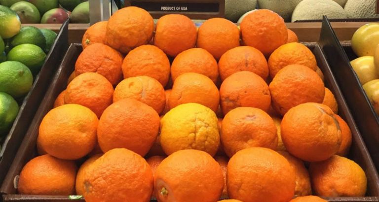 Wykham Park Farm Shop | We are food producers and stewards of the ...